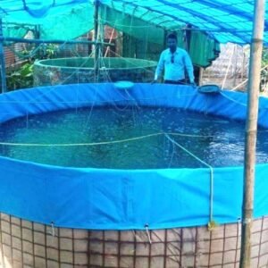How to Set Up a Biofloc Tank for Maximum Fish Growth – Bio Floc Tanks